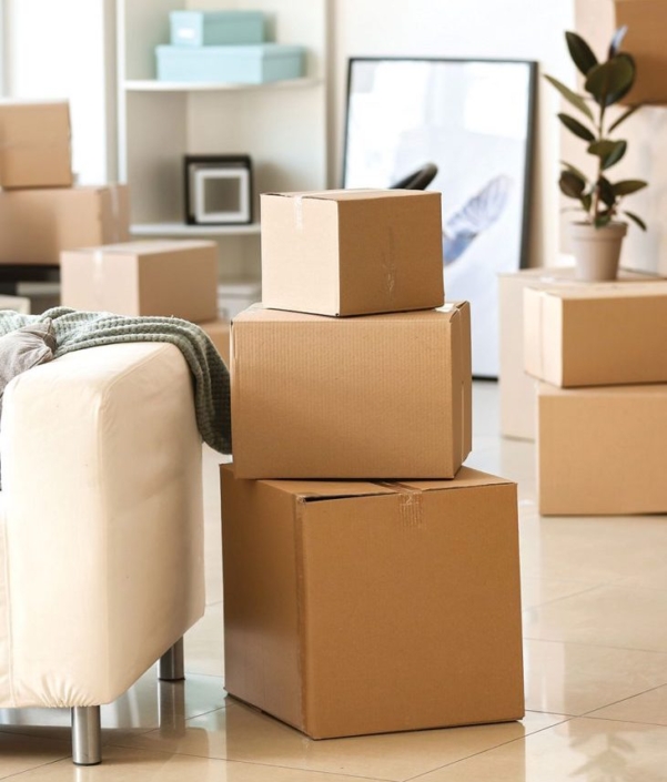 Delivery Man | Full House Moving Services | Pack & Move Services